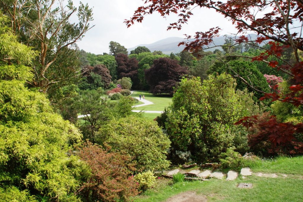Muckross House Gardens – blütenstil