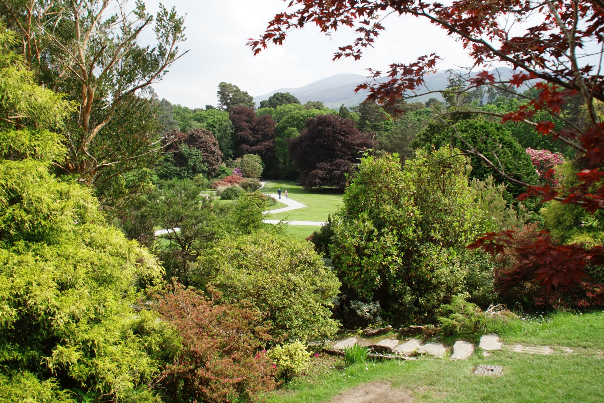 Muckross House Gardens – blütenstil