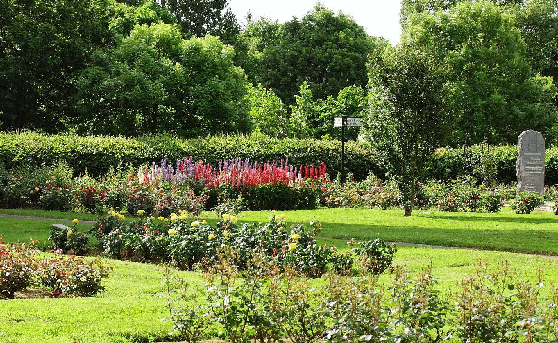 Tralee Town Park – blütenstil
