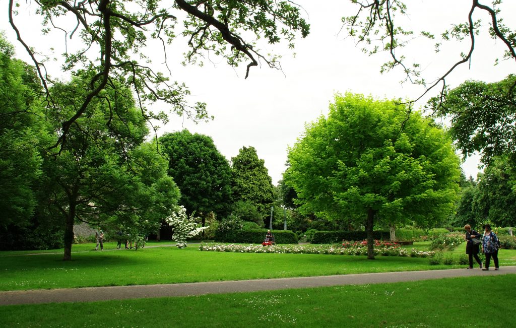 Tralee Town Park – blütenstil